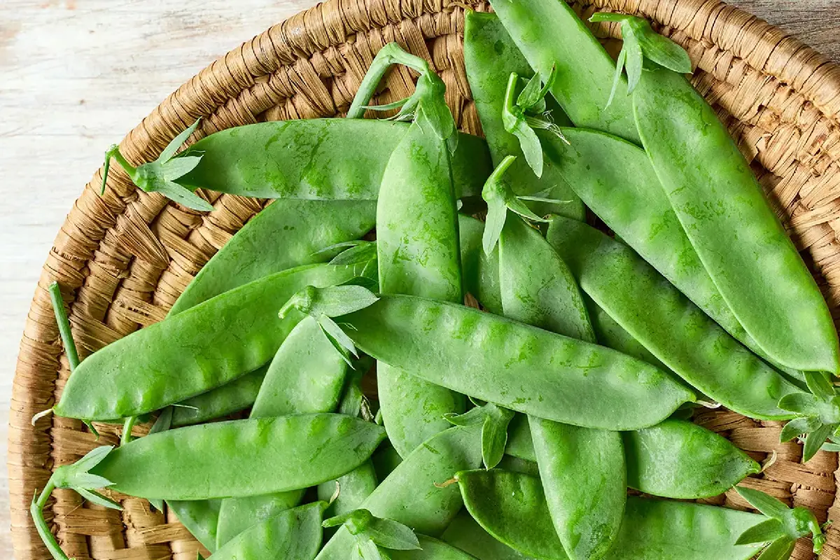 Arveja China – Qori Foods SAC – Cultivos frescos y nutritivos